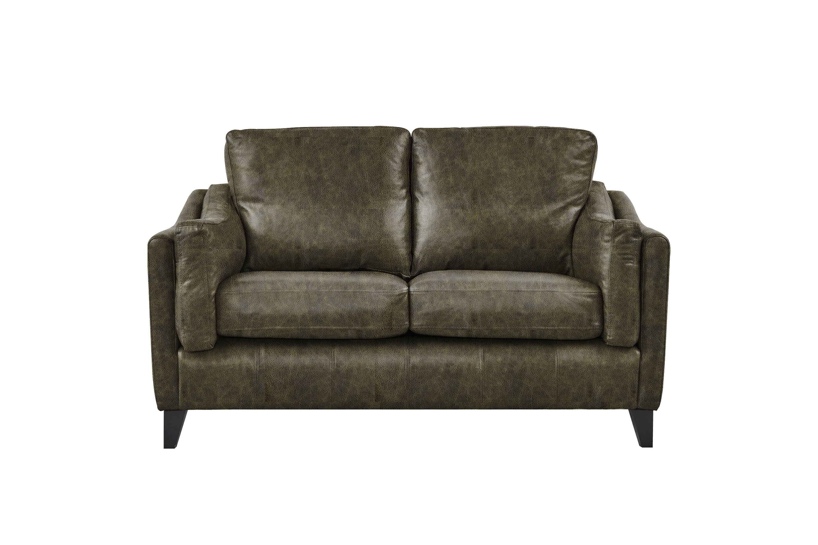 Hudson 2 Seater Sofa Vintage Green – SofaSofa
